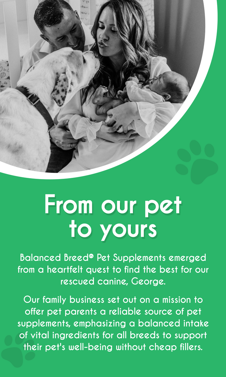 Balanced Breed® | U.S.-Made Pet Supplements for Everyday Wellness